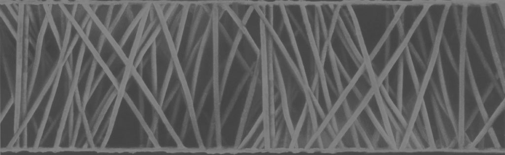 Unique-Mem® Unlaminated Track-Etched Membranes